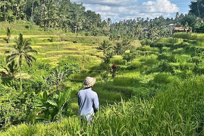 Ubud Bali Driver - Private Driver in Ubud - Why Choose a Private Driver in Ubud?