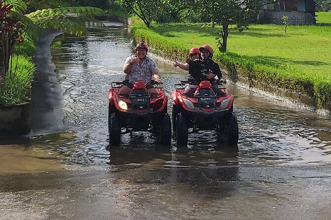 Ubud Bali Driver - Private Driver in Ubud - Practical Tips for Your Day