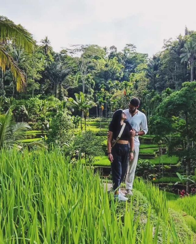 Ubud Bali: Half Day Tours - Key Points