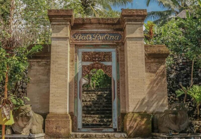 Ubud: Bali Pulina Tour with Swing & Tegallang Rice Terrace - Key Points