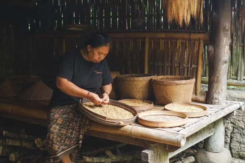 Ubud: Bali Pulina Tour with Swing & Tegallang Rice Terrace - FAQ