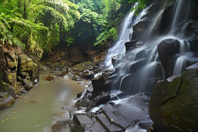 Ubud Bali: Rice Terrace, Waterfall and Tirta empul Day Tour - A Deep Dive into the Ubud Bali Day Tour