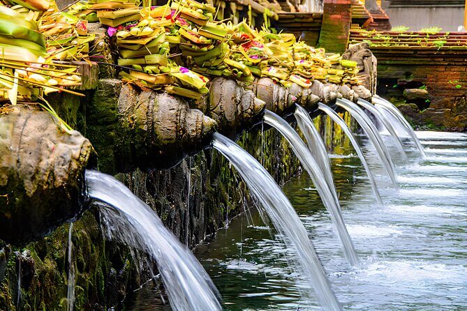 Ubud Bali: Rice Terrace, Waterfall and Tirta empul Day Tour - What to Expect and What to Watch Out For