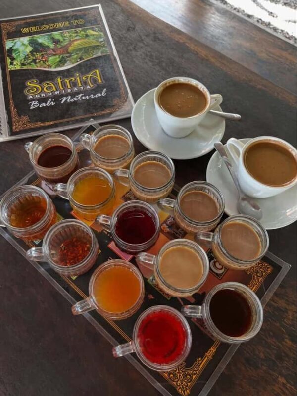 Ubud Bali: Sacred Monkey Forest, Waterfall & Swing Day Tour - Marvel at Blangsinga Waterfall