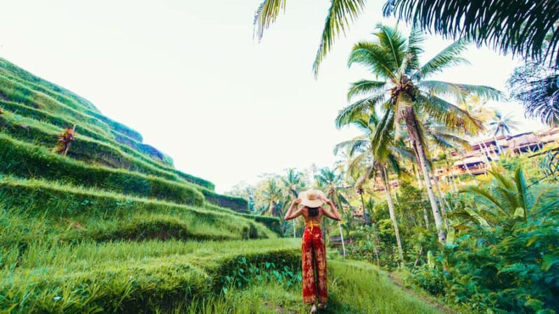 Ubud: Balinese Culture and Nature Private Full-day Tour - Key Points