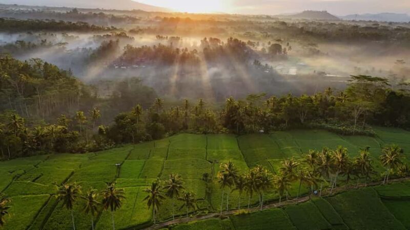 Ubud : Balinese House, Hidden Rice Field, & Coffee Break - Who Should Consider This Tour?