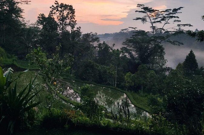 Ubud: Balinese Village Life, Organic Farm Dinner and Firefly Tour - Practical Details and What to Expect