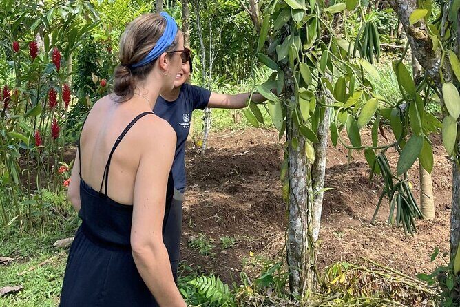 Ubud: Balinese Village Life, Organic Farm Dinner and Firefly Tour - Who Should Consider This Tour?