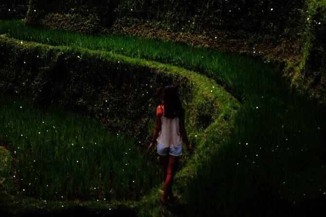 Ubud: Balinese Village Life, Organic Farm Dinner and Firefly Tour - FAQs