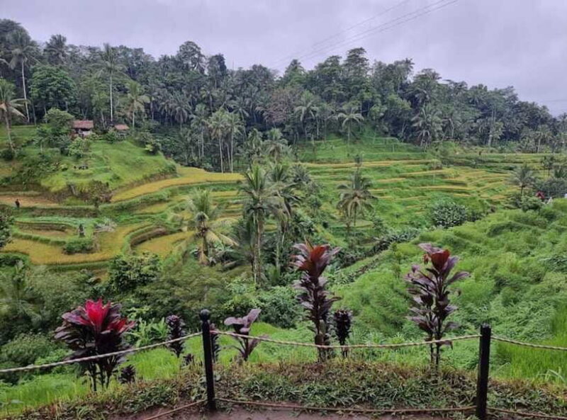 Ubud : Barong Dance, Temple, Rice Terrace & Waterfall - Practical Tips for Making the Most of the Tour