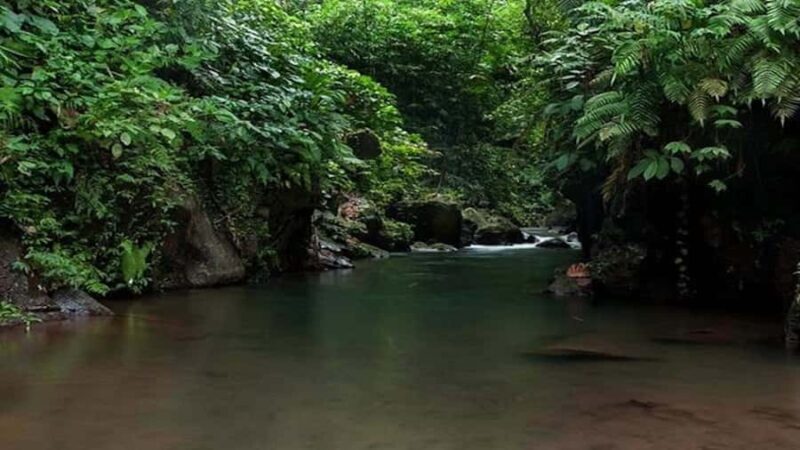 Ubud: Bayad Village, Waterfall and Cave Trek Adventure - Exploring the Ubud: Bayad Village, Waterfall and Cave Trek Adventure