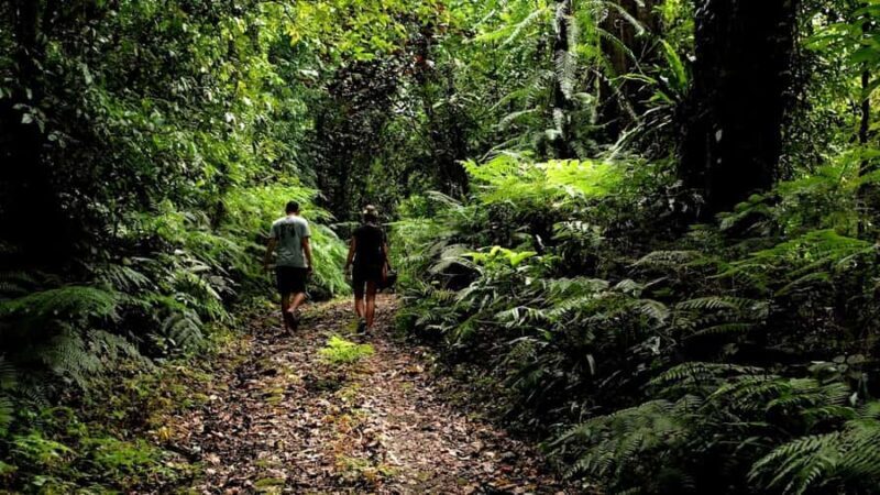 Ubud: Bayad Village, Waterfall and Cave Trek Adventure - A Deep Dive into the Bali Trekking Experience