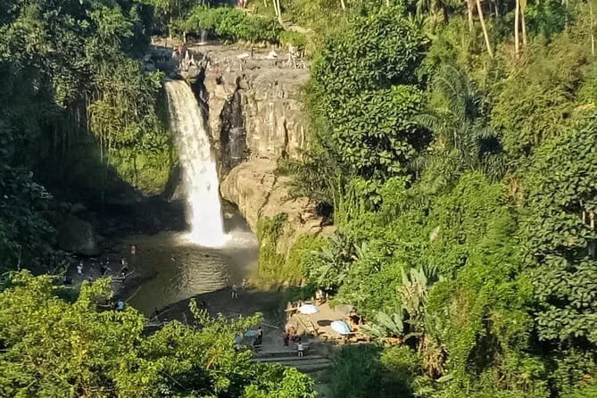Ubud - Best central one day Tour - Exploring Bali in a Day: What You Can Expect