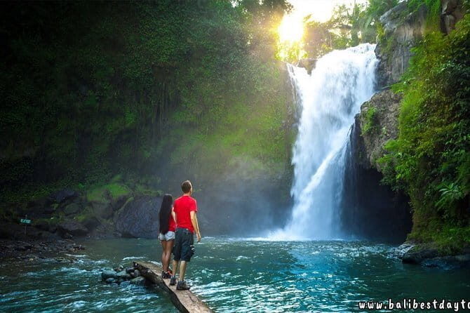 Ubud - Best central one day Tour - Who Will Enjoy This Tour?