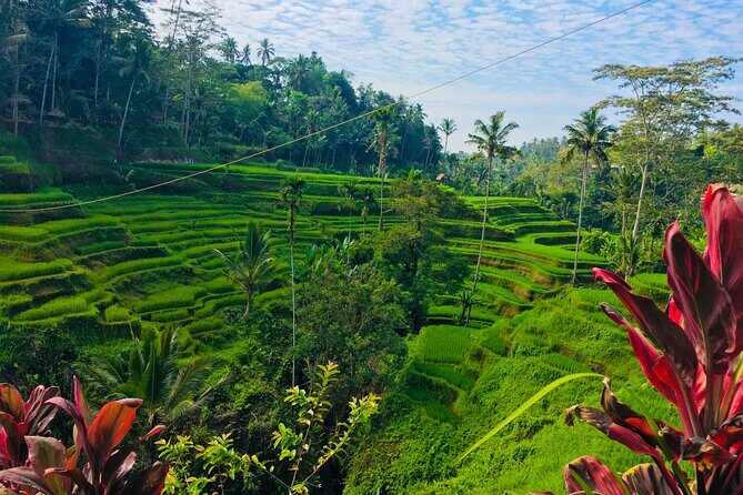 Ubud Best Tour - Transport and Flexibility