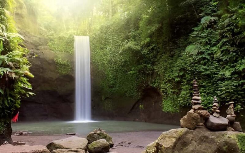 Ubud - Best Waterfall Tour & Bali Swing - Transport, Timing, and Comfort