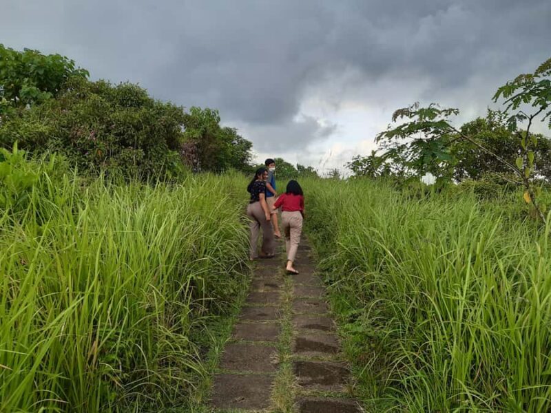 Ubud: Campuhan Ridge Walk, Tegallalang Rice Terrace & More - Key Points