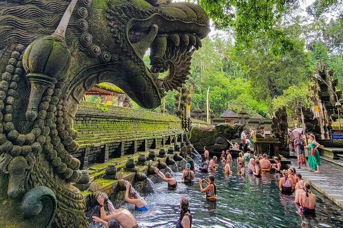 Ubud Car Hire With Driver : Customize Your Trip in Ubud Area - What Makes This Tour Stand Out?