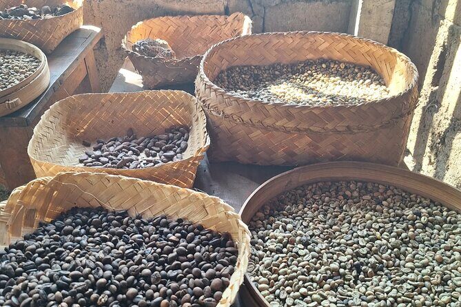 Ubud Car Hire With Driver : Customize Your Trip in Ubud Area - Who Is This Tour Ideal For?