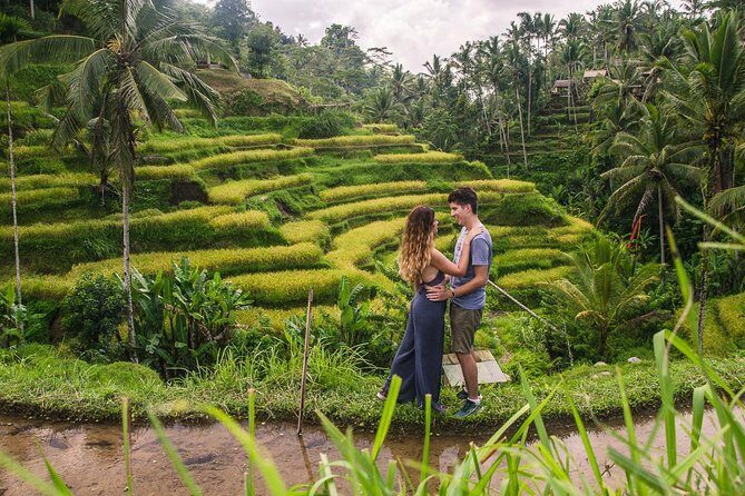 Ubud City Tour II: Monkey Forest, Palace, Art Market, and Rice Terrace - Detailed Tour Breakdown