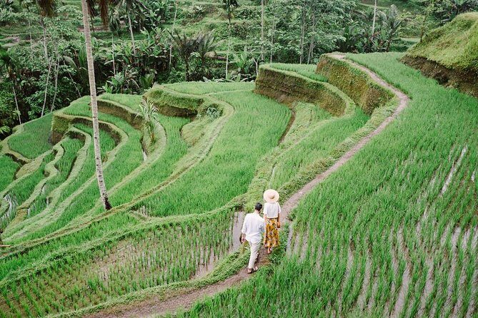 Ubud City Tour II: Monkey Forest, Palace, Art Market, and Rice Terrace - Final Thoughts