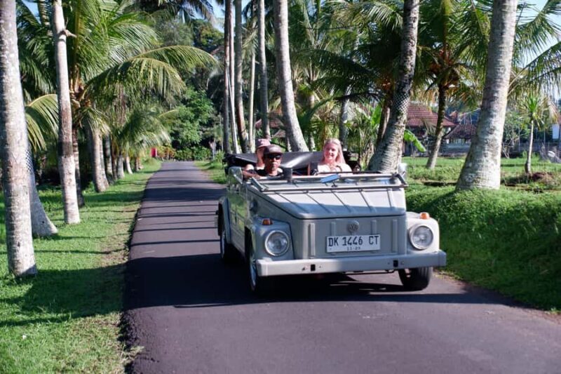 Ubud: Classic VW Safari to Waterfall, Swing & Rice Terraces - Key Points