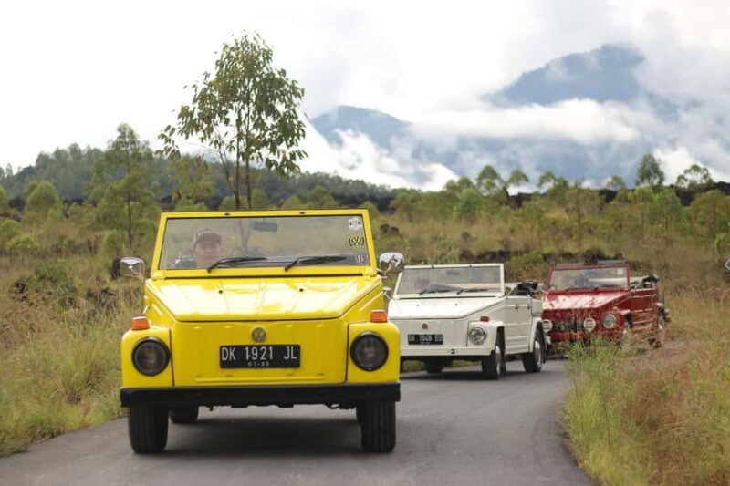 Ubud: Classic VW Safari to Waterfall, Swing & Rice Terraces - Swinging into Adventure