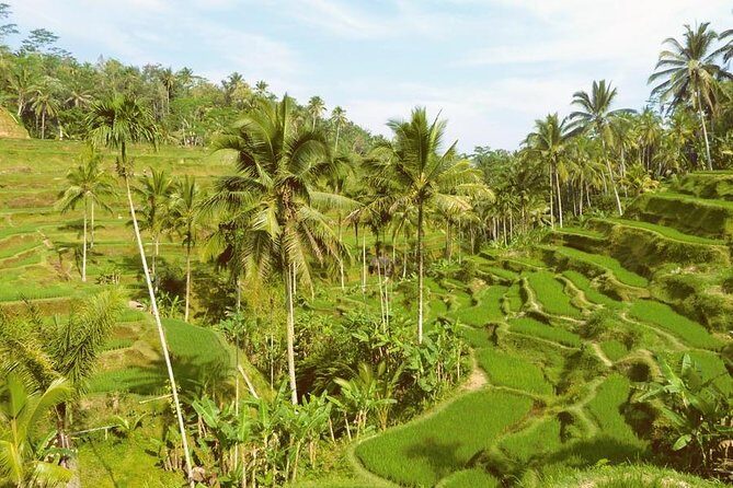 Ubud Combine Mount Batur Kintamani Tour - FAQ