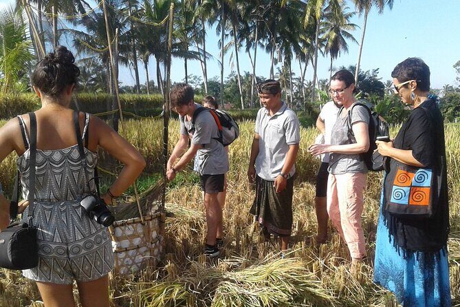 Ubud Cooking : All Inclusive Cooking Class - Final Thoughts