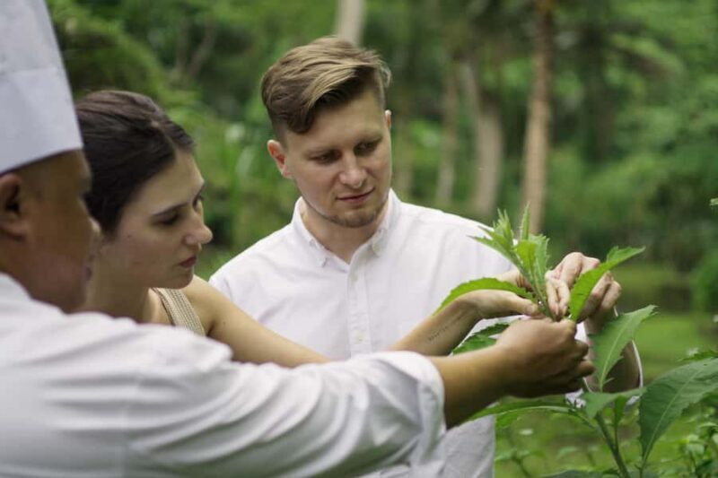 Ubud: Cooking Class & Herb Garden Tour with Local Chef - Full Breakdown of the Experience