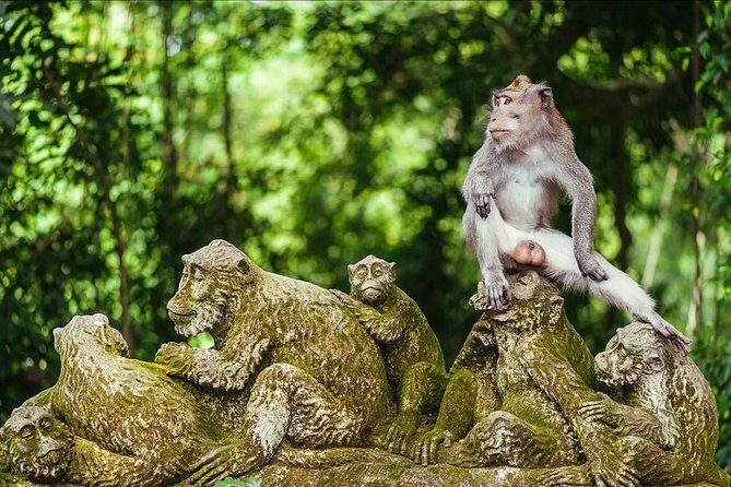 Ubud Costumize Tours - Kintamani Volcano: Bali’s Majestic Viewpoint