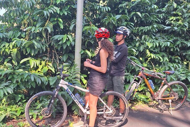 Ubud Countryside Cycling Tour with Village Lunch - Analyzing Value: Is It Worth It?
