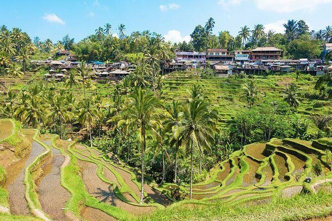 Ubud Countryside Tour: Campuhan Ridge Walk and Rice Terrace - The Sum Up