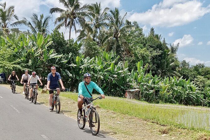 Ubud Cultural and Educational Downhill Cycling Tour - The Core Experience: What to Expect