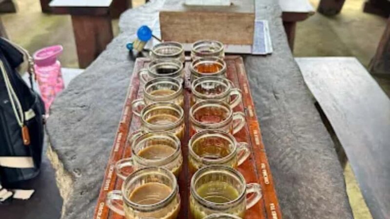 Ubud: Cultural and Nature Tour with Waterfall and Swing - An In-Depth Look at the Ubud Experience