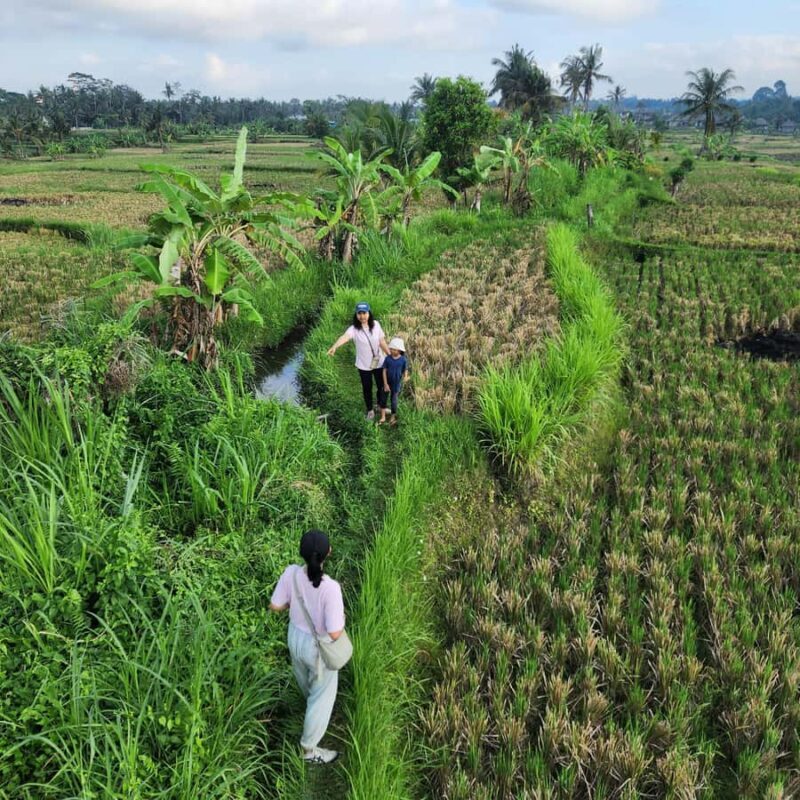 Ubud: Culture and sightseeing tour with Friendly local Guide - Final Thoughts
