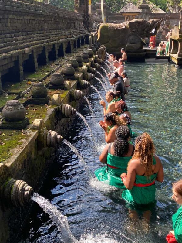 Ubud Culture, Temple Blessing & Hidden Waterfall Day Tour - A Detailed Look at the Ubud Culture, Temple Blessing & Hidden Waterfall Tour