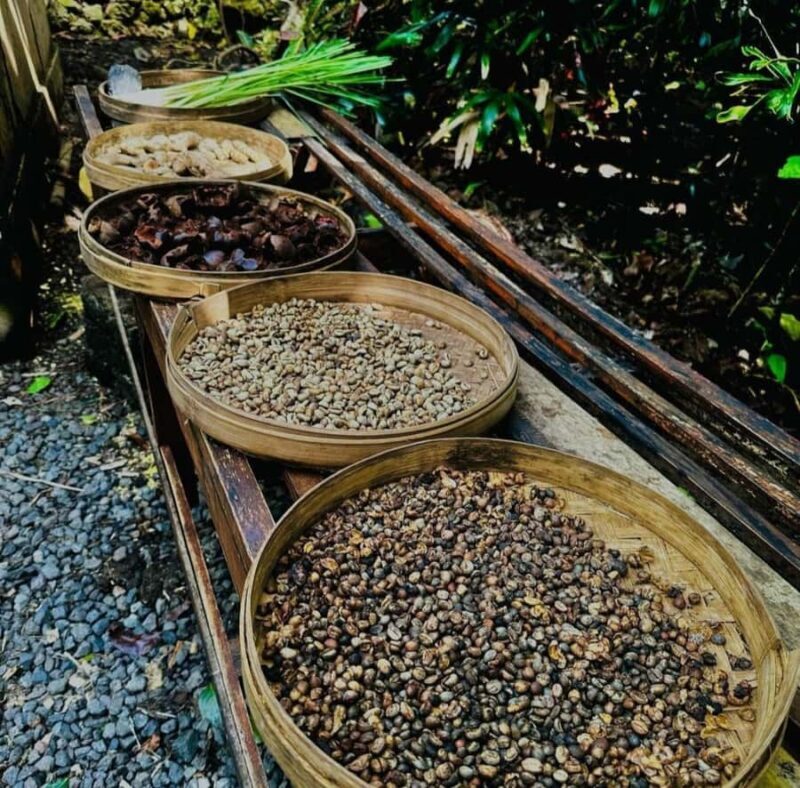 Ubud: Customised private day trip with personal driver - Ubud: Customised Private Day Trip with Personal Driver — A Practical Guide for Authentic Bali Experiences