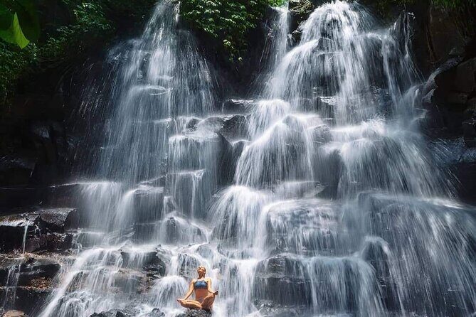 Ubud Customized Full Day Tour - Visit Most favorite In Ubud - The Sum Up