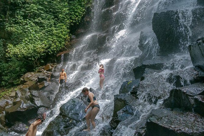 Ubud Customized Private Tour - Adventure & Art Stops