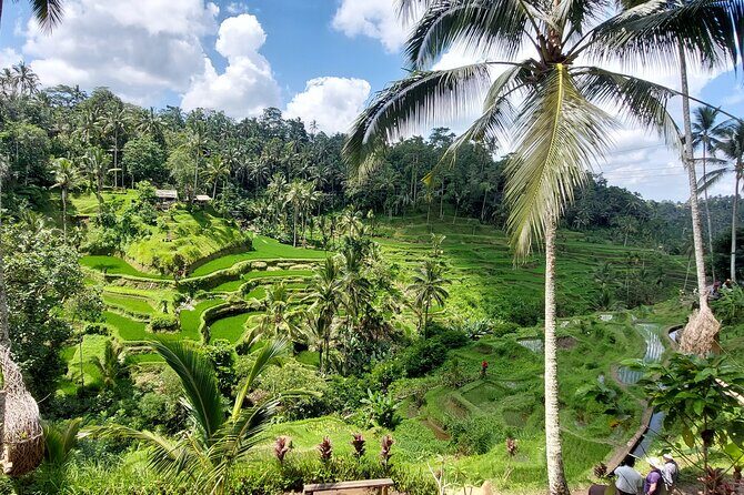 Ubud Customized Private Tour - Cultural & Craft Experiences