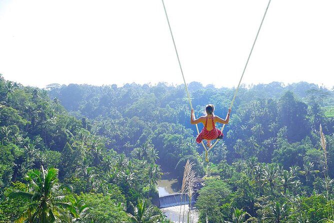 Ubud Customized Tour All-Inclusive - Who Should Consider This Tour?