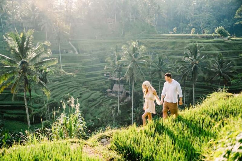 Ubud Customized Tour-Ubud Charter - An In-Depth Look at the Ubud Customized Tour