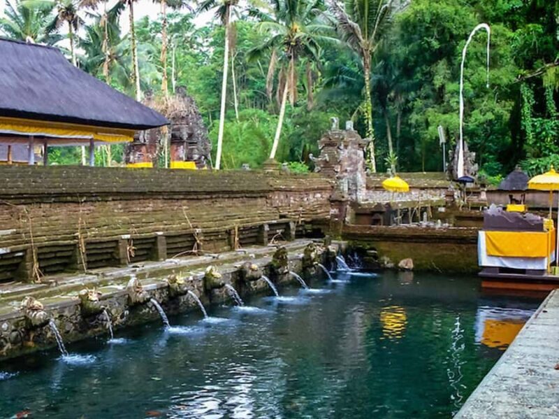 Ubud Customized Tour-Ubud Charter - Who Should Consider This Tour?
