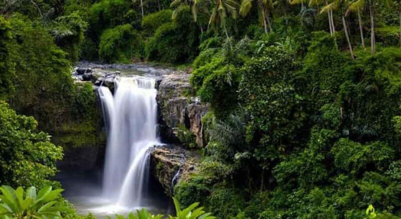 Ubud: Customized Ubud Tour With Private Car - An Overview of the Tour Experience