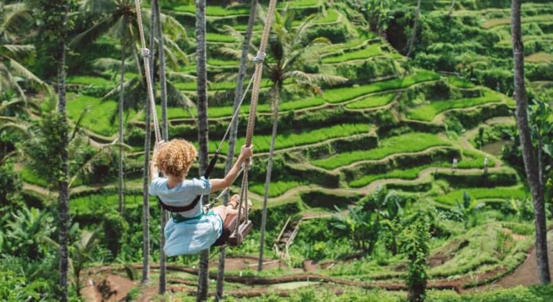 Ubud: Customized Ubud Tour With Private Car - The Itinerary Options: Flexibility at Its Best