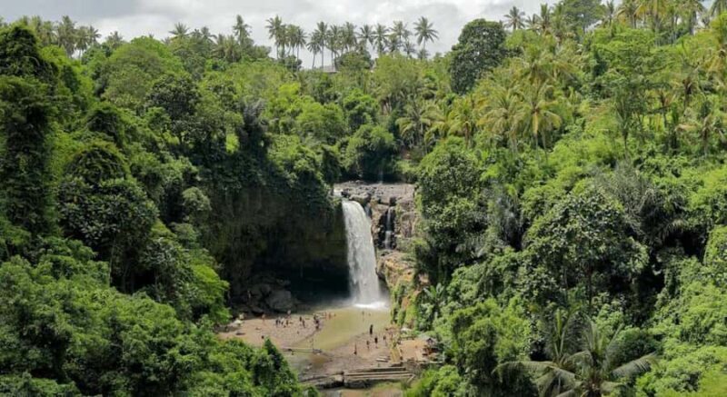 Ubud: Customized Ubud Tour With Private Car - Final Thoughts