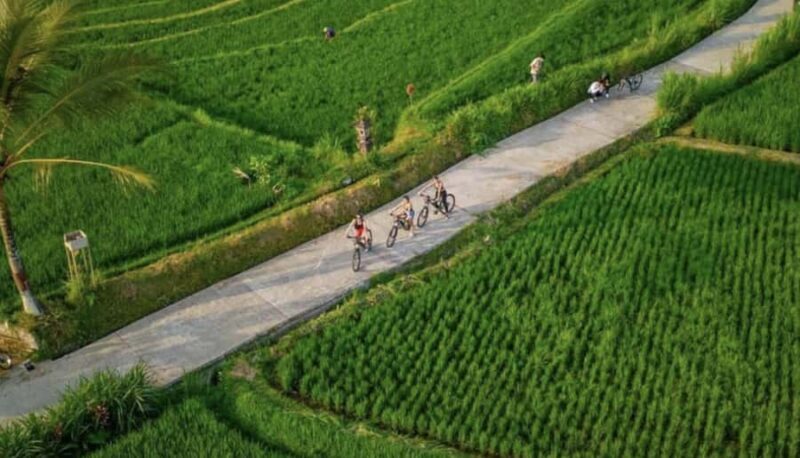 Ubud: Cycling Tour Local Villages, Temple, and Rice Field - The Itinerary in Detail