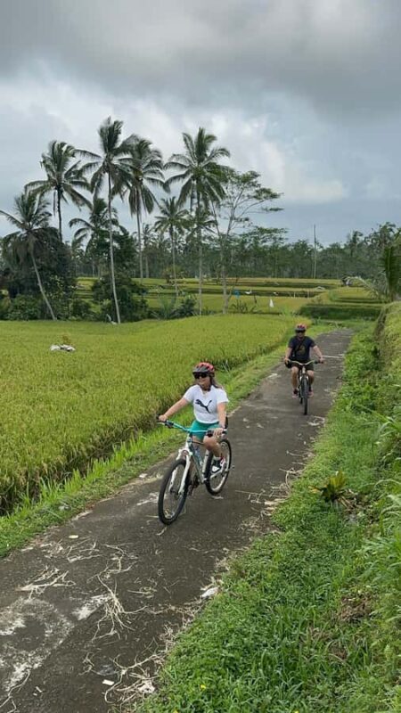 Ubud: Cycling Tour Local Villages, Temple, and Rice Field - Summary: Who Should Consider This Tour?