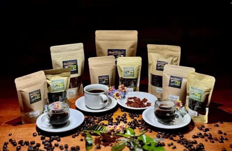 Ubud Day Tour  Japanese Guide Included - An In-Depth Look at the Ubud Day Tour